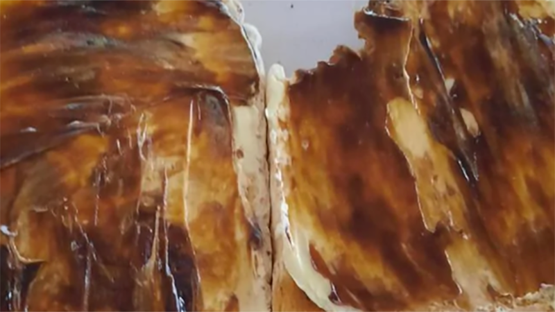woman-sparks-major-debate-over-the-way-she-eats-vegemite-on-toast