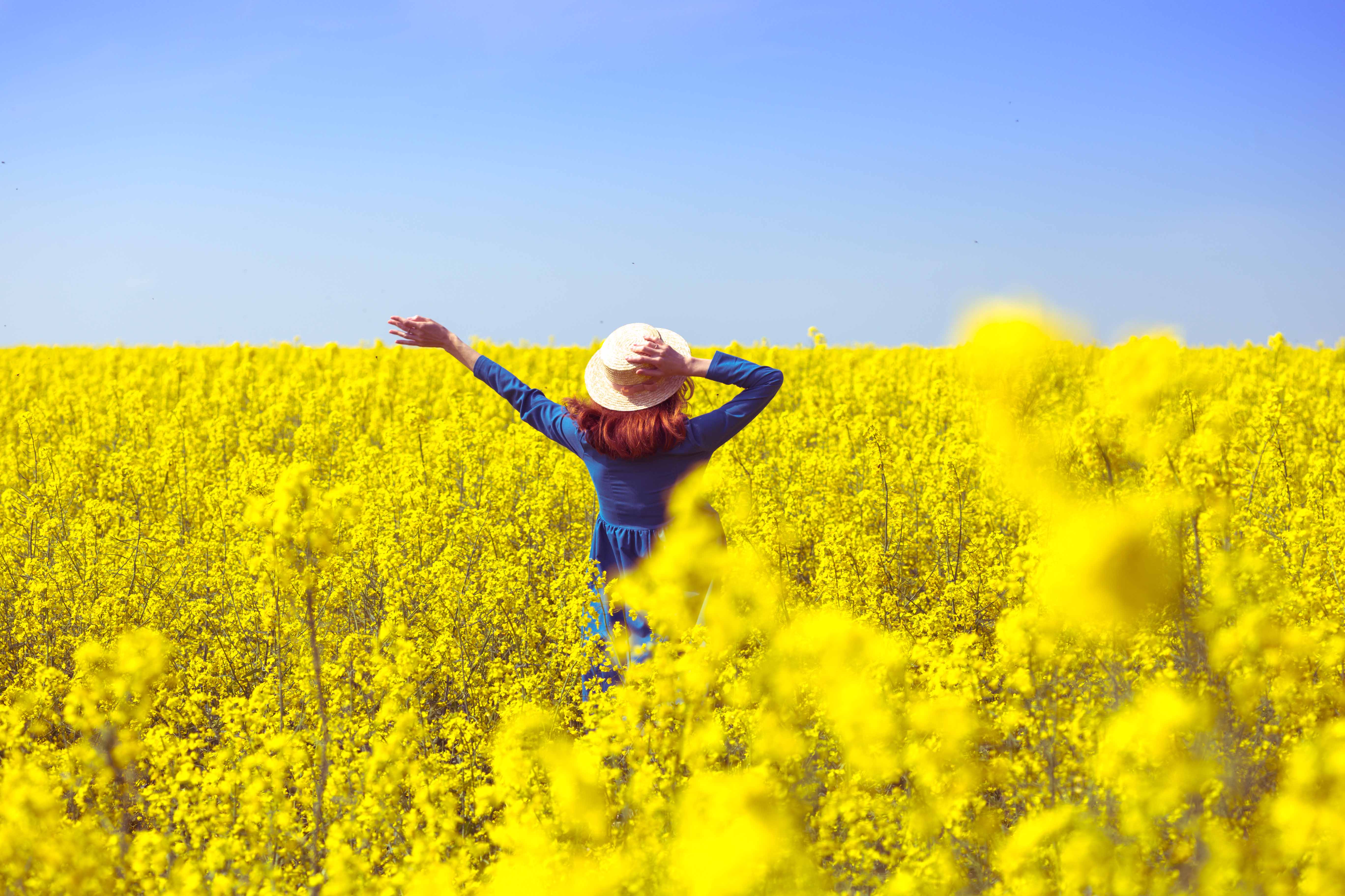 WA Canola Farmers Want You To Stay Out Of Their Crops (But There's One ...