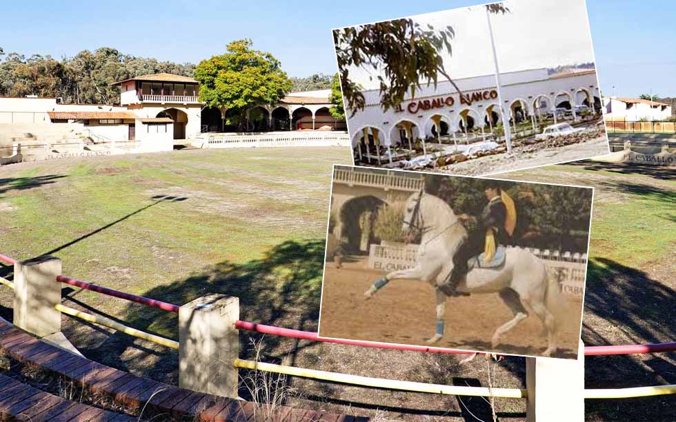 Remember El Caballo Blanco? You Can Now Own It