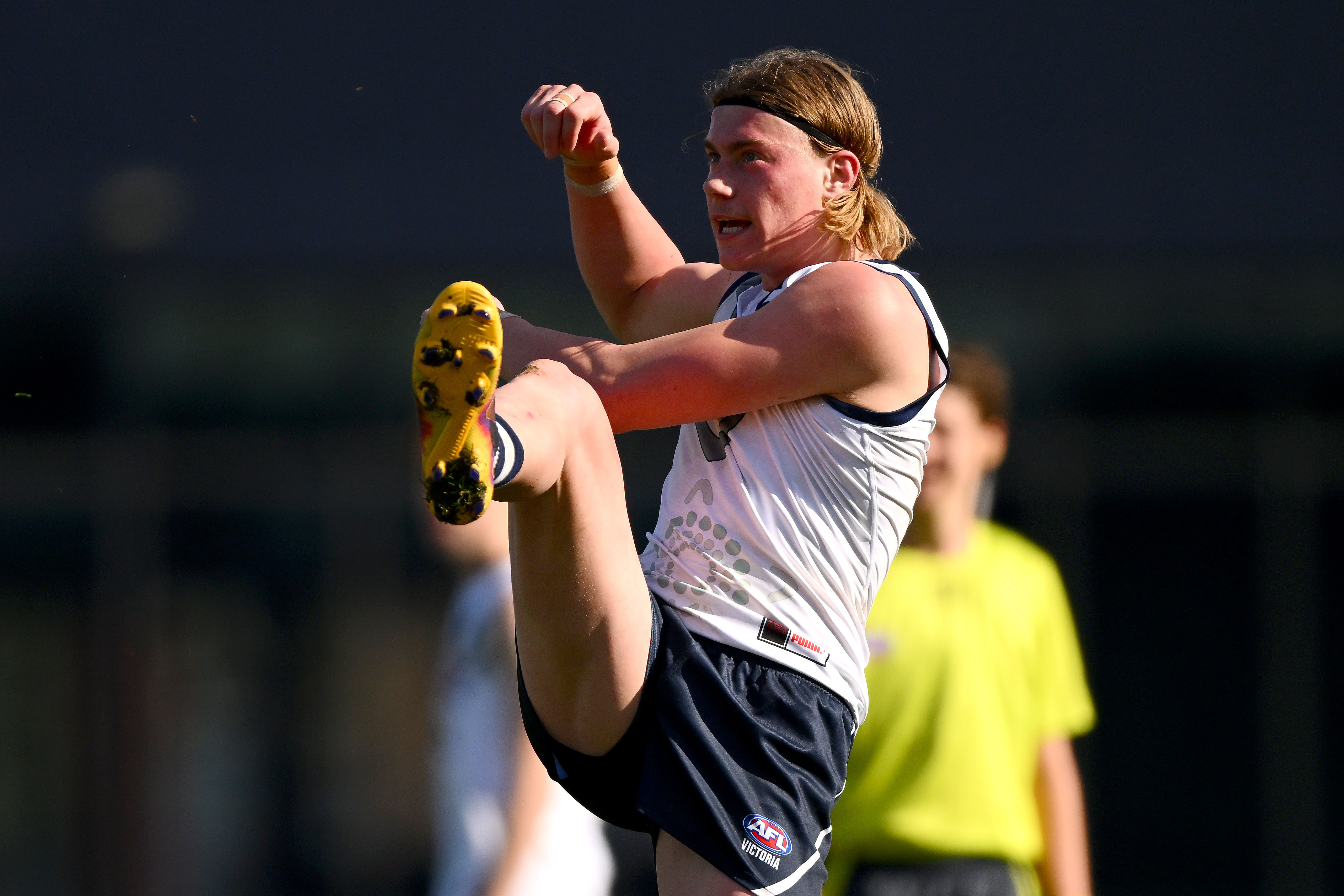 Harley Reid Management Dismisses Rumour That Young Gun Doesn't Want To ...