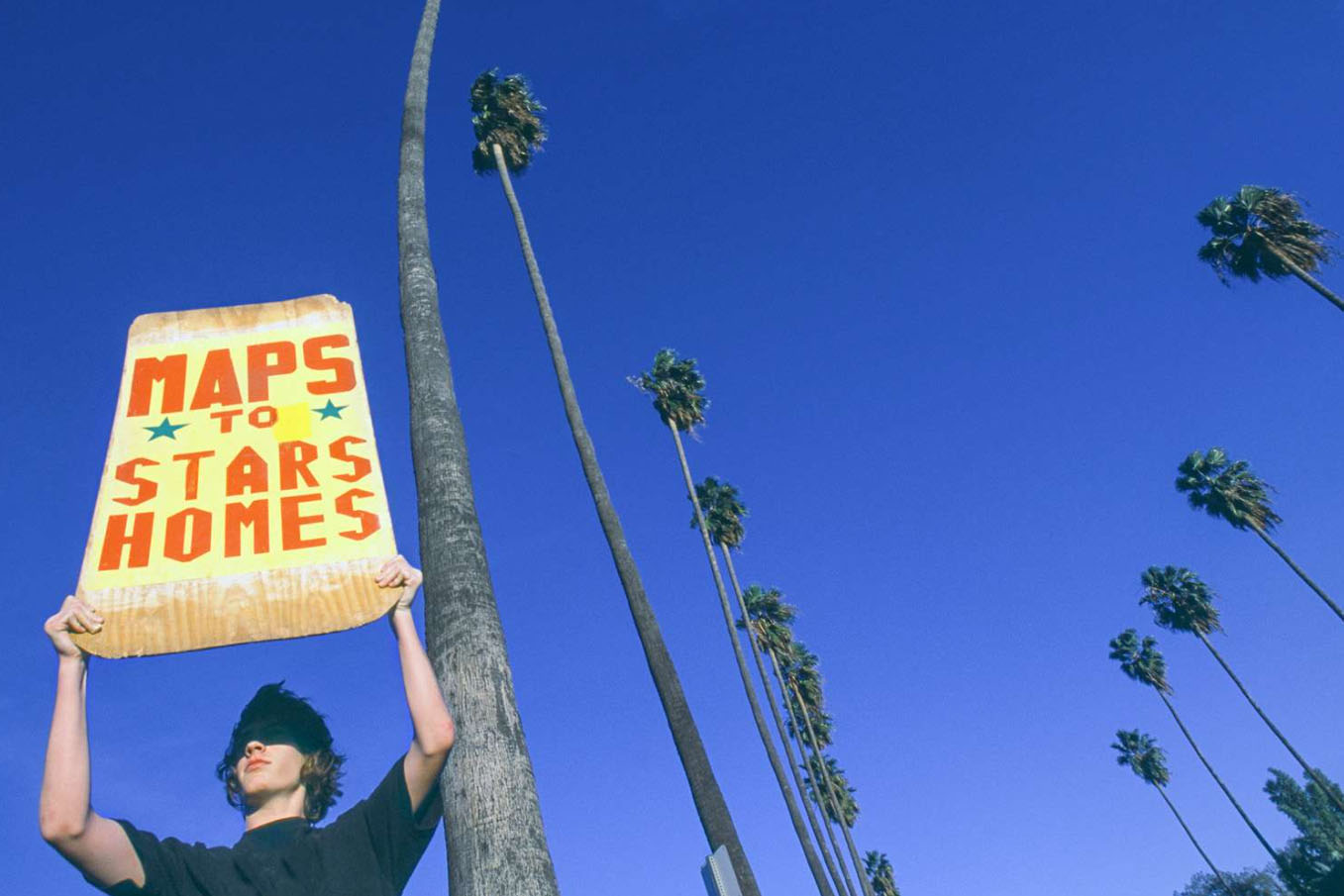 Six Of The Best: The Top Tours To Take in Hollywood's Backyard!